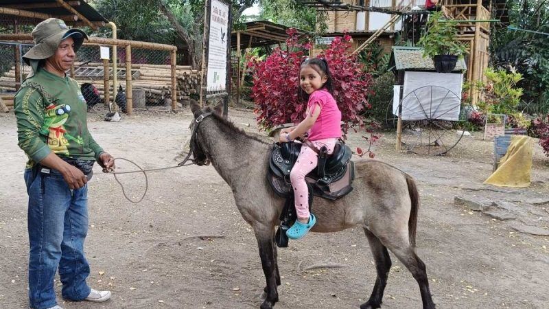 Eco Parque Chinauta - Viajes Colombia Viva Company s.a.s